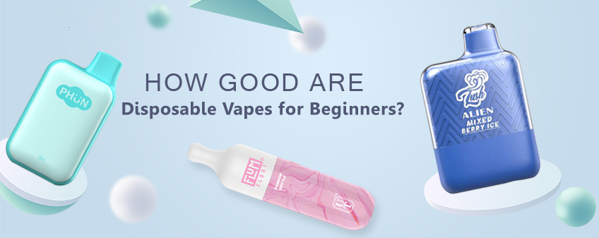How Good Are Disposable Vapes for Beginners? – Vapecould